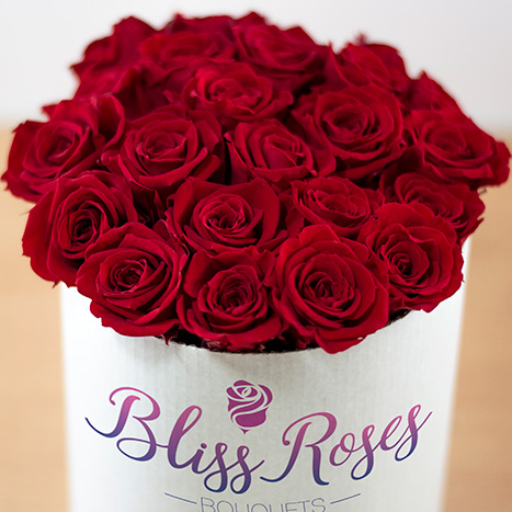 BLISS ROSES